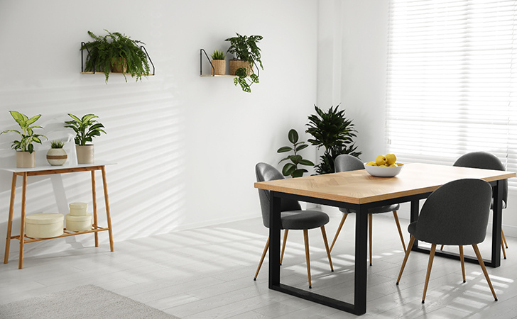 マンションライフで緑を愉しむには | 日住サービスの不動産コラム